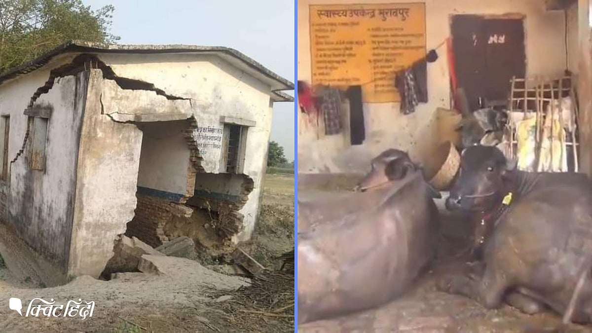 Bihar Health Center Condition:बिहार के हेल्थ सेंटर बीमार,कहीं भैंस बंधी ...