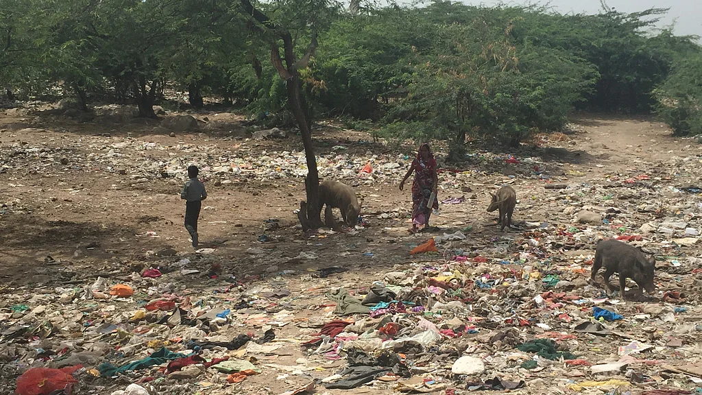 Paid to Poop: Would This Help Curb Open Defecation?