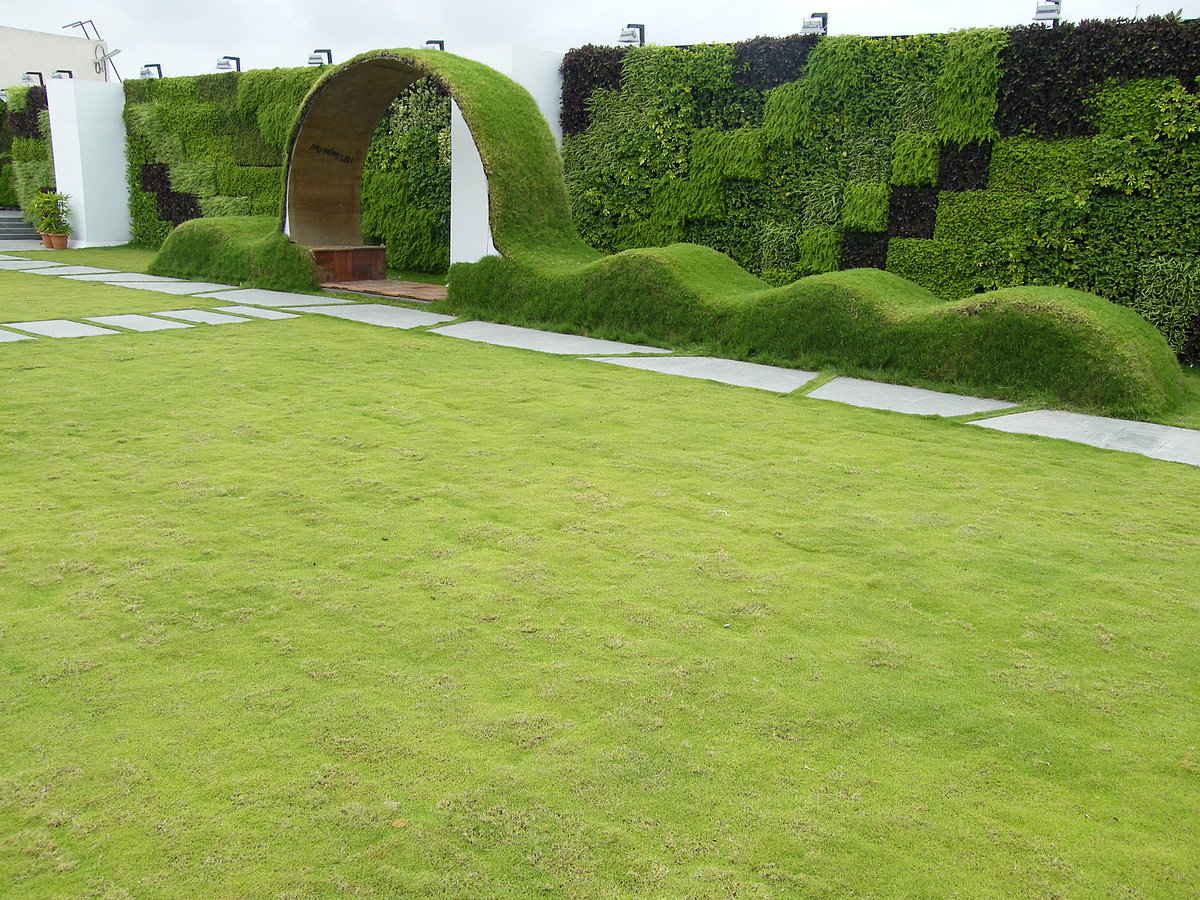 These Gorgeous Rooftop Photos Will Convince You to go Green