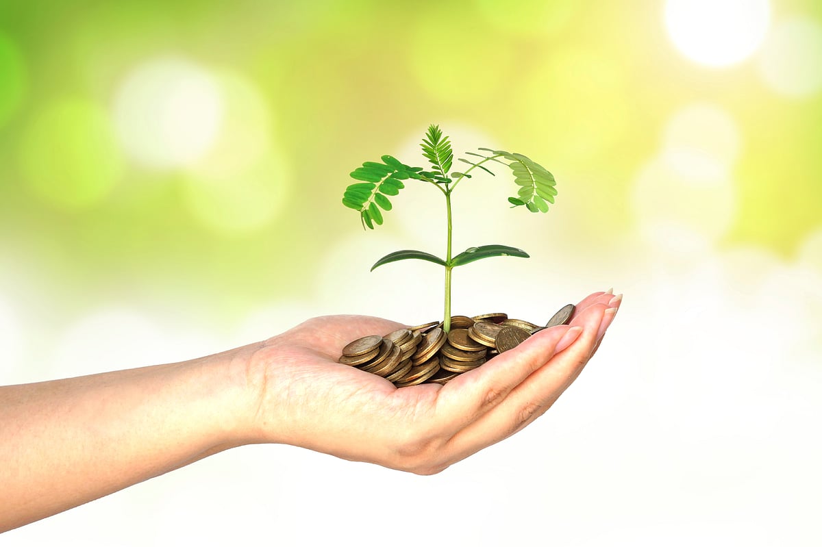 Know the Polluter Pays Principle: Who Pays and How Much?