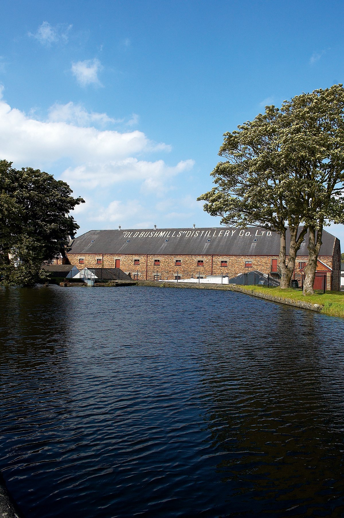 Travelling Through the Irish Whiskey Trail: 5 Spots You Must Visit