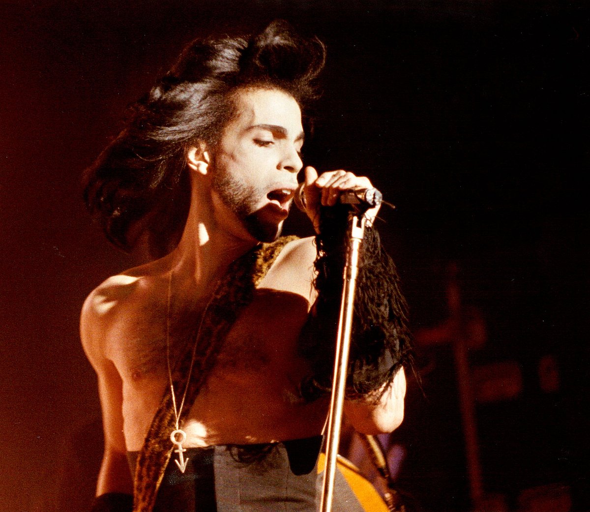 10 Things You Need To Know About Prince & the Purple World