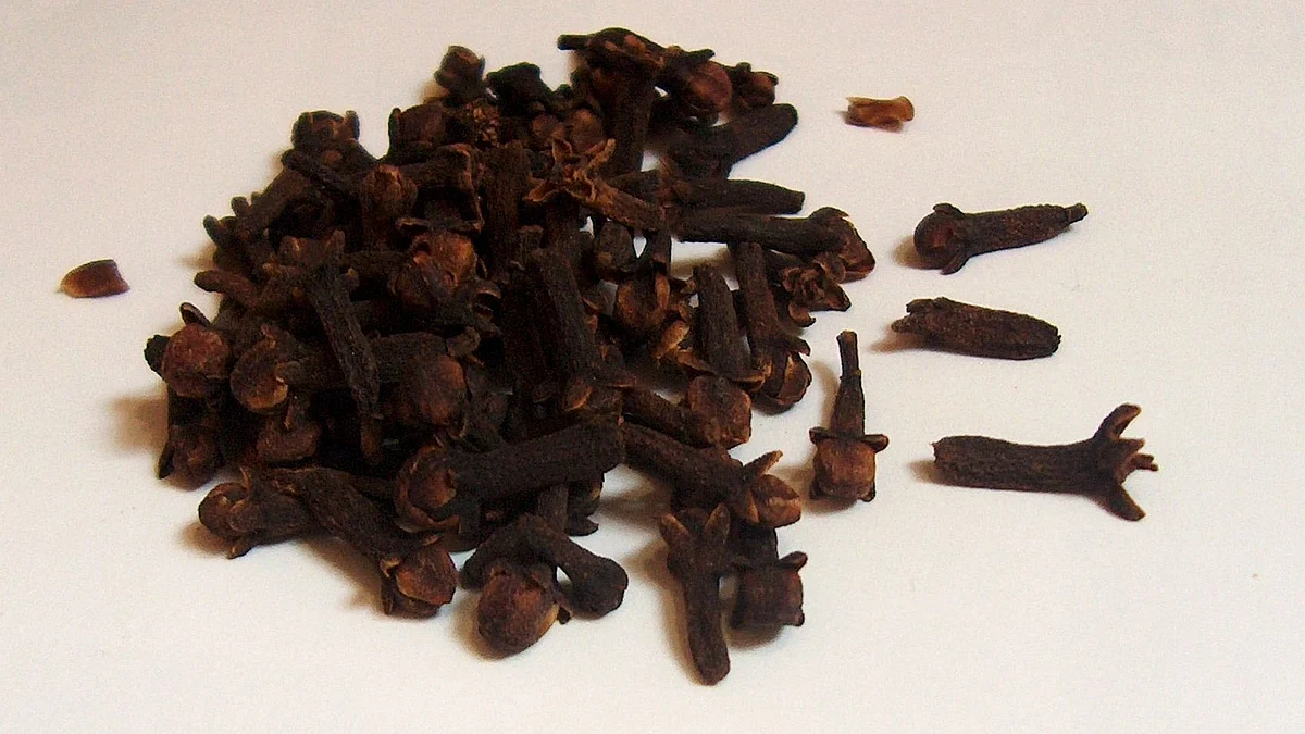 World’s Oldest Clove Narrates a Tale of Early Spice Trade