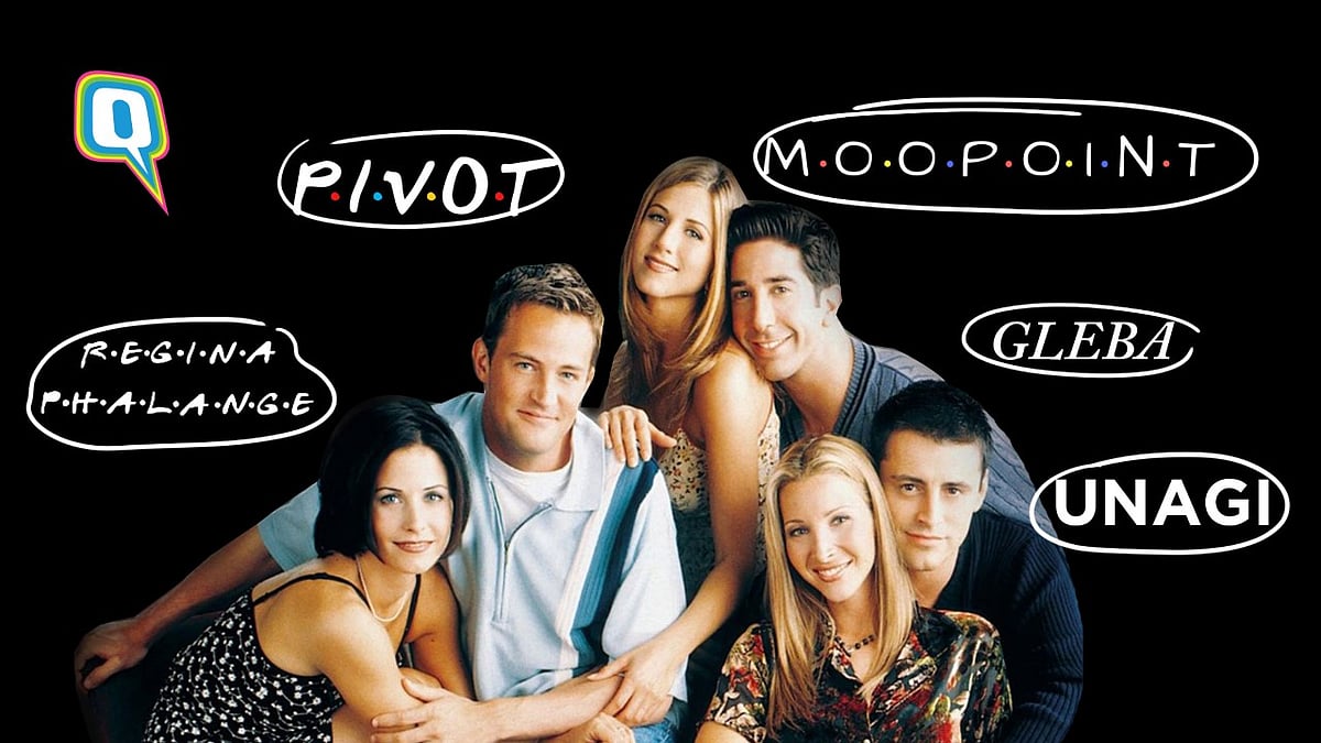 Friends 25th Anniversary: ‘Gleba’ to ‘Phalange’, 8 Words ‘Friends ...