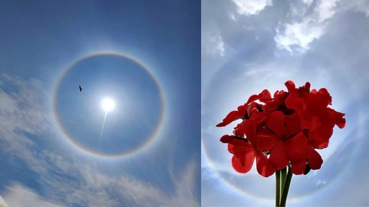 Netizens Post Pictures Of Rainbow Halo Spotted Around The Sun