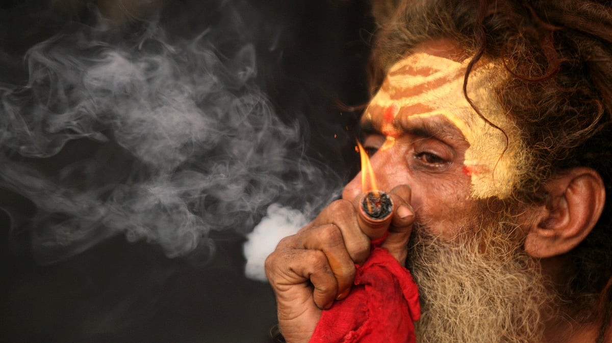 The Quint Says #YesToWeed: Why India’s Ban on ‘Ganja’ is an Irony