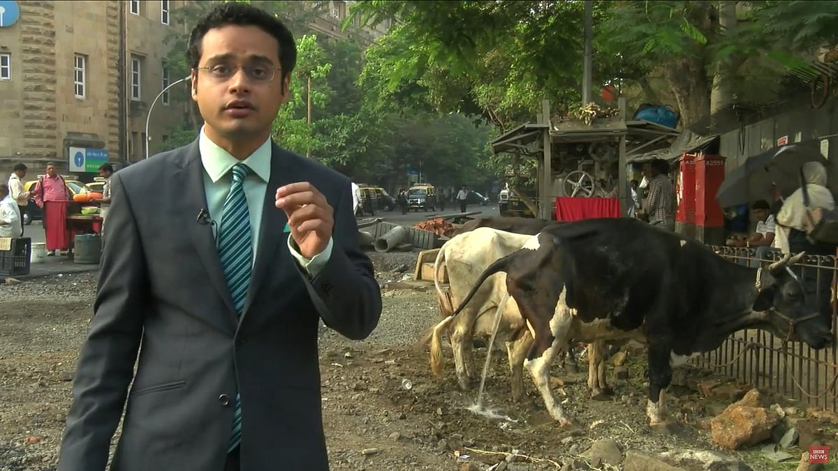 Holy Cow! Some Feedback For This TV Reporter