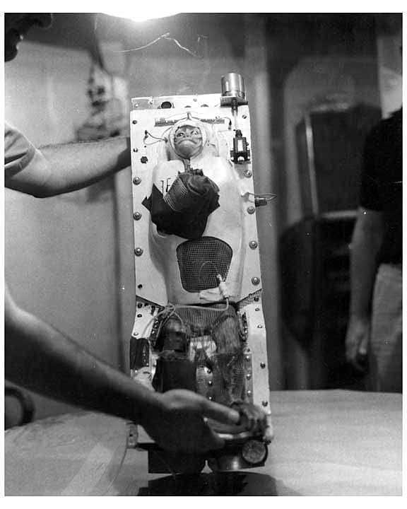 55th Anniversary of Able & Baker, 1st Monkeys to Survive Space