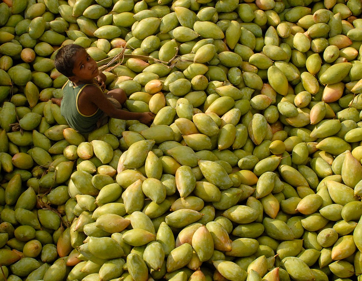 Eat Your Way Through These Delicious Mango Destinations in India
