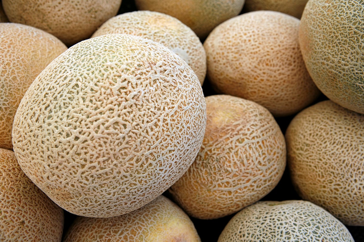 Your Guide to Eating Right to Beat the Summer Heat