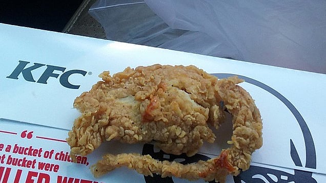 KFC Ran DNA Test on Alleged ‘Fried Rat’, Guess What They Found