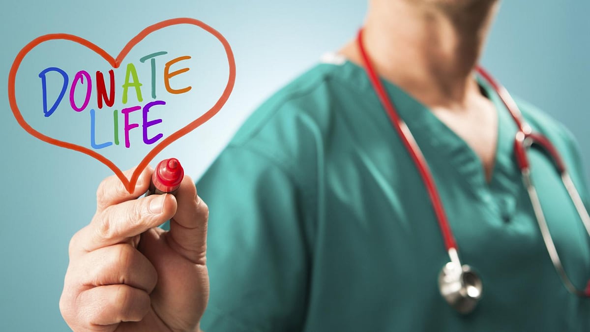 Research Promises Ways to Tackle Organ Shortage