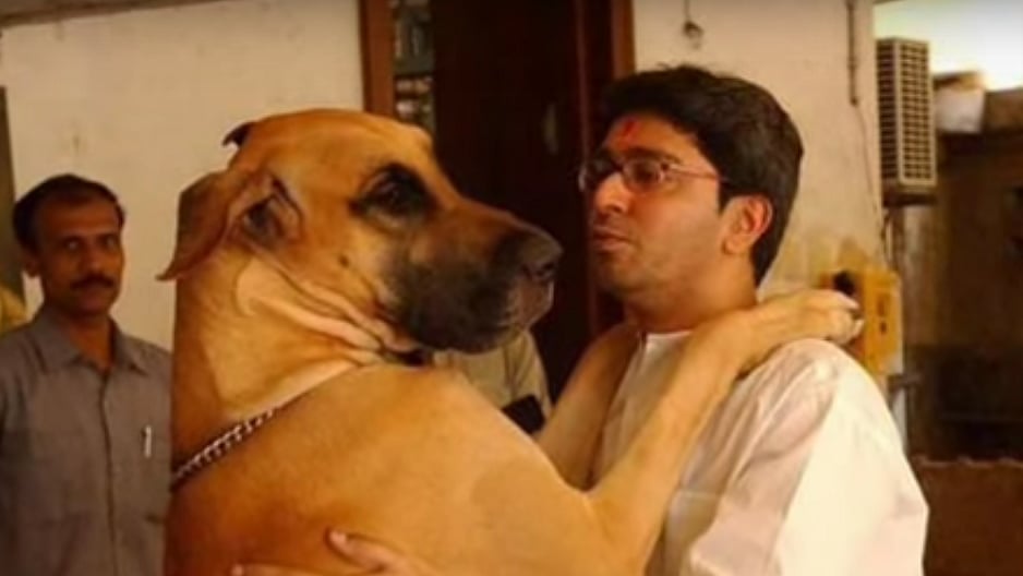 Bond Bites Thackeray’s Wife, Lands Her in Hospital