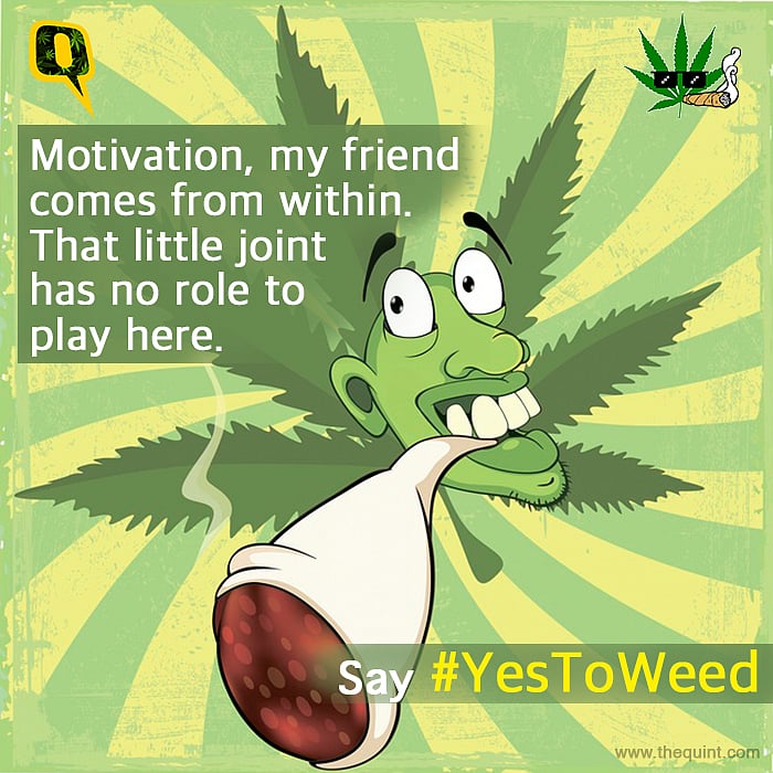 These Weed Myths Are so Lame, They Will Make You Want to Smoke Up
