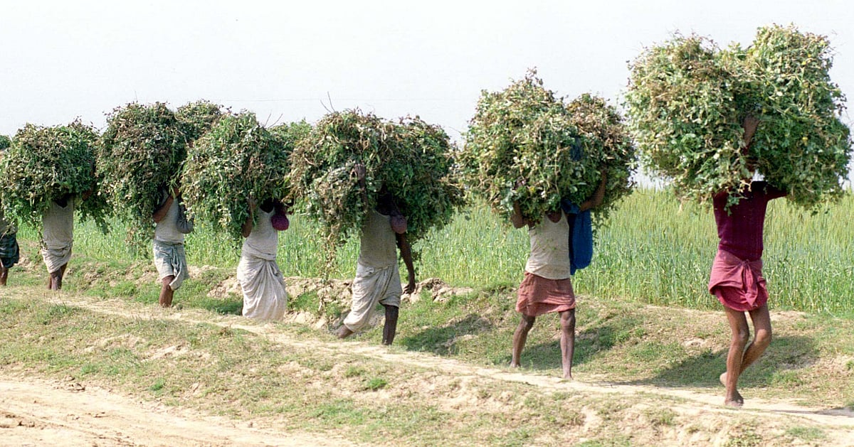 Death of Farmer Puts Bagpath on Edge Ahead of PM Modi’s Visit