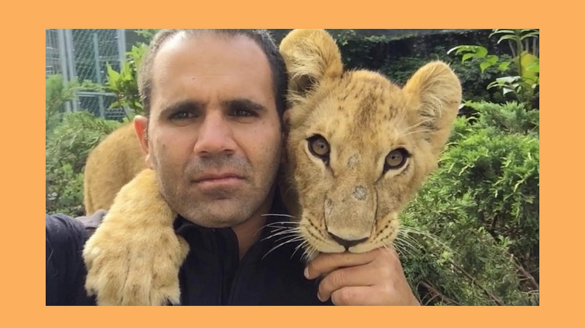 This Man and His Wild Cats Will Leave You Zapped!