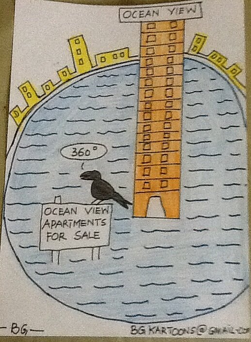 Bengaluru Residents Use Toons, Memes to Show Poor Infrastructure