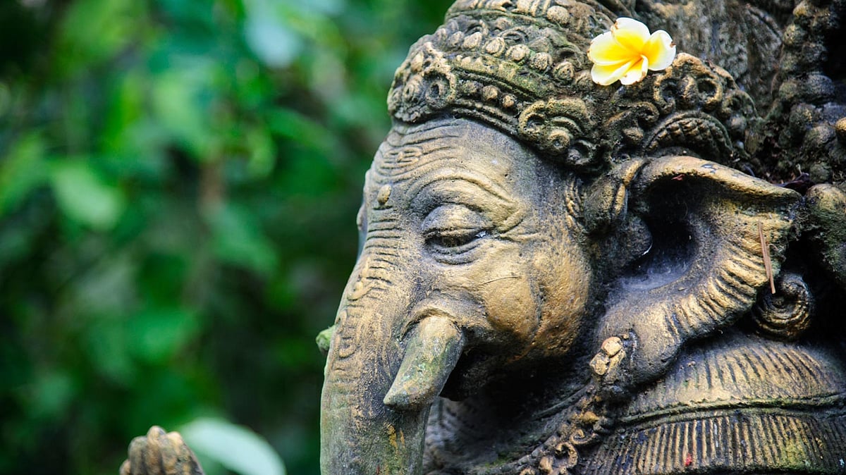 Read What Mr G, aka Ganesha Has to Say to Us From Heaven
