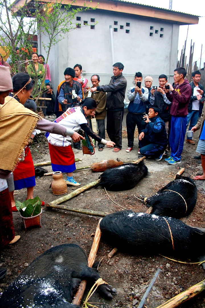 The Little-Known Apatani Tribe of Arunachal is a Traveller’s Dream