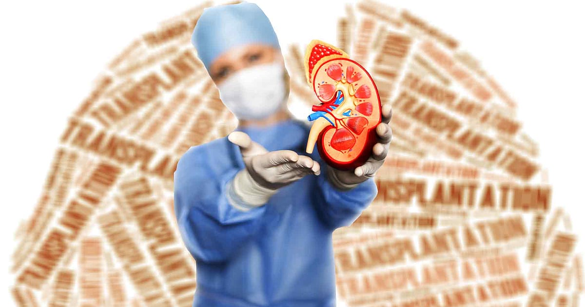 Gujarat Police Uncover Major Kidney Racket in Anand District