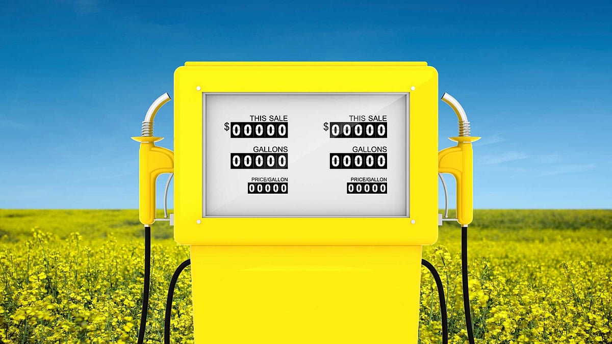 Make Your Own Automobile Fuel With Used Cooking Oil