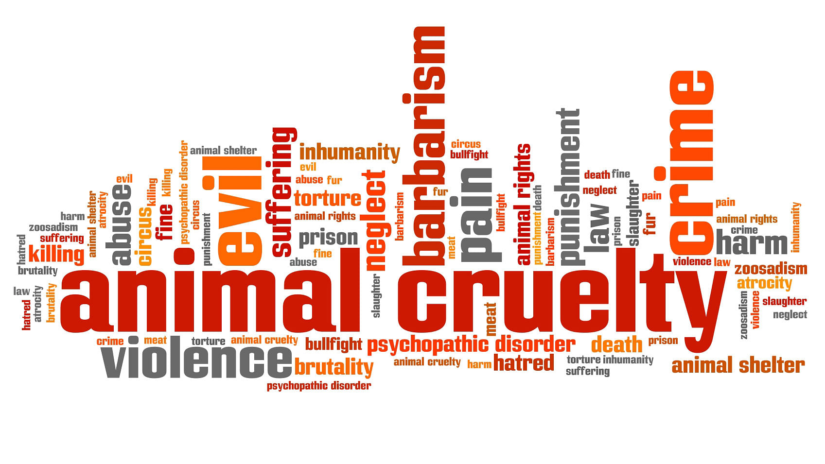 Shashi Tharoor Demands Stricter Laws To Help End Animal Cruelty shashi-tharoor-demands-stricter-laws-to-help-end-animal-cruelty