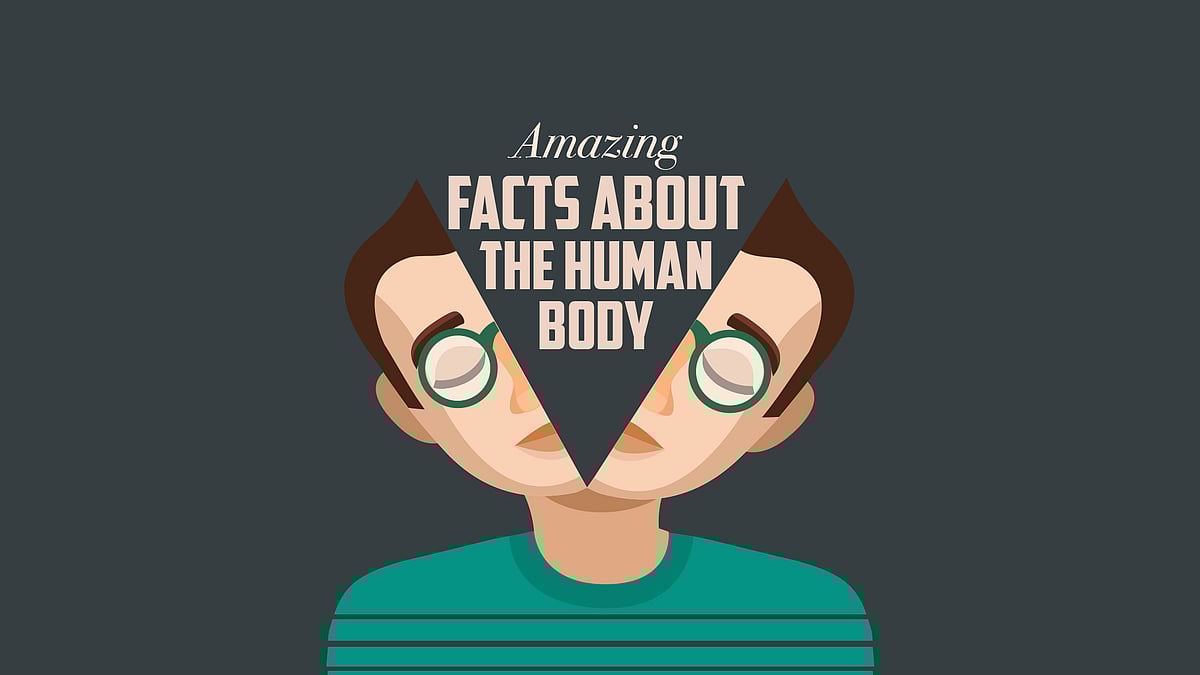 InfographiQ: Amazing Facts About the Human Body