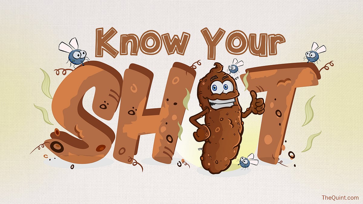 Feeling Pooped? Knowing Your Shit Can Help You Figure Out Why
