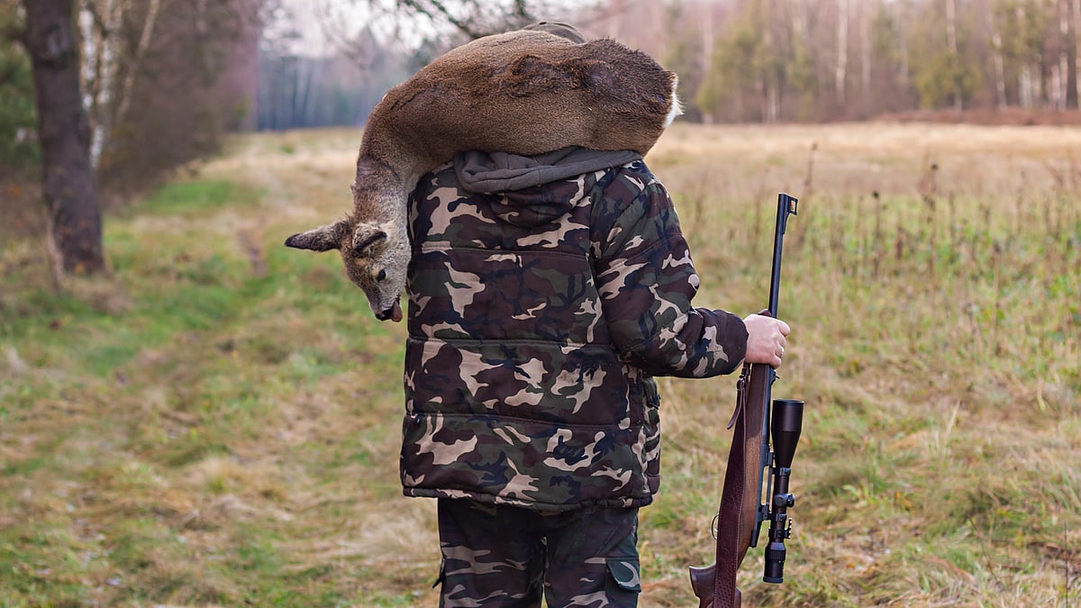 Decriminalising Hunting May Help Save Endangered Animals