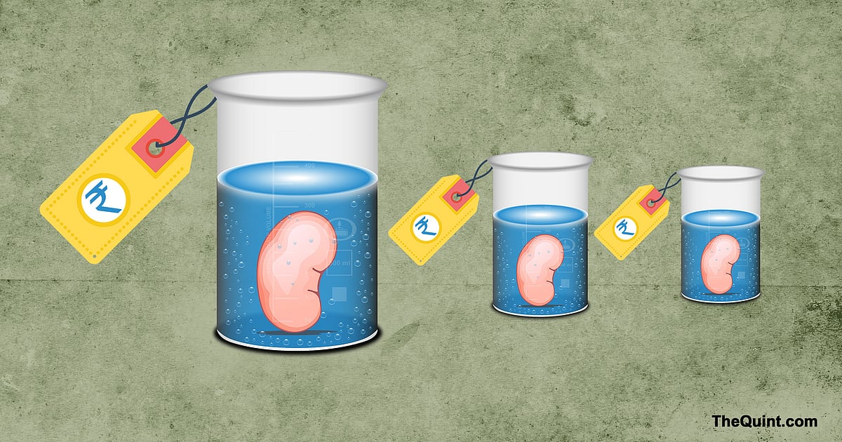 Cash for Kidneys: The ‘Industry’ That Preys on the Desperate