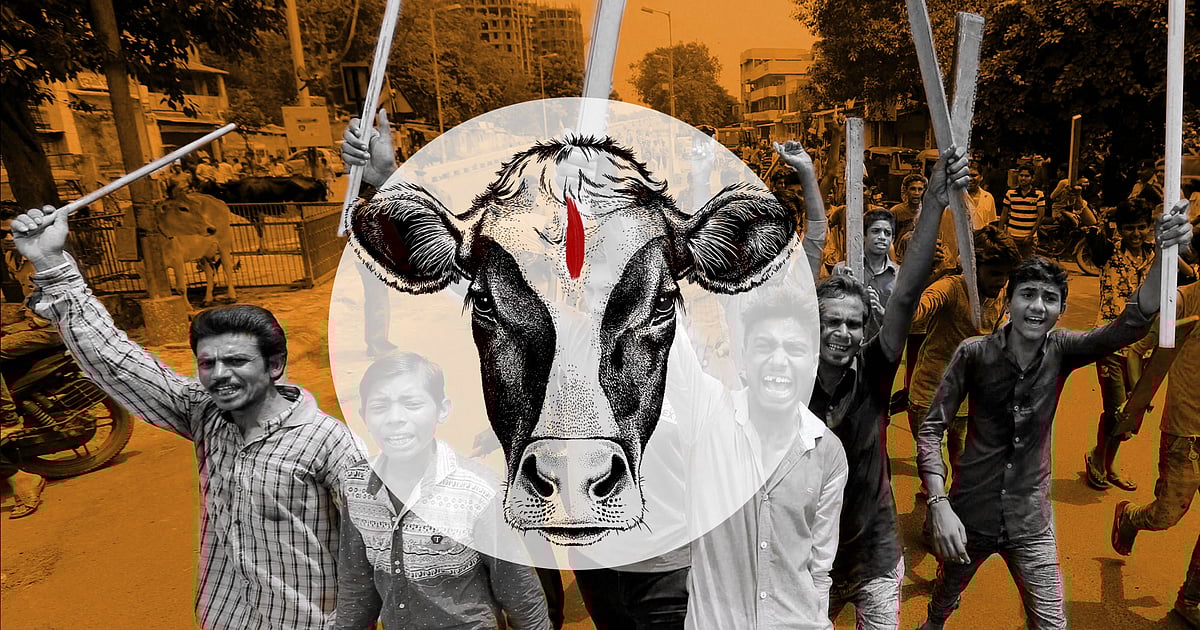 Gau Mata Will Keep Debasing Political Discourse: Historian DN Jha