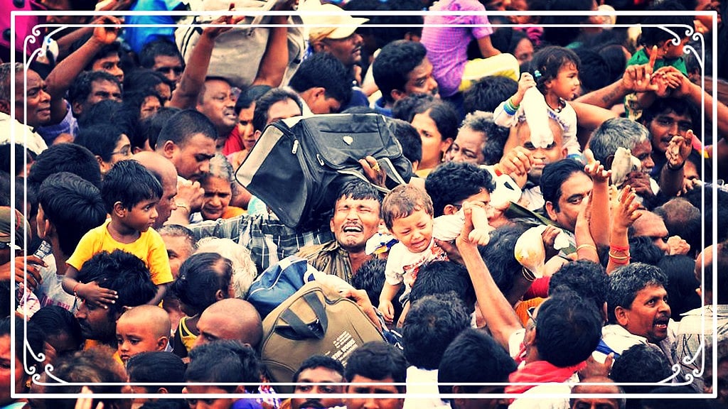 What Causes a Stampede? And Who is Really Responsible For It?