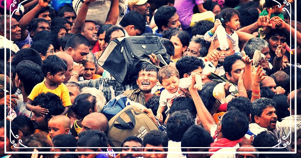 What Causes a Stampede? And Who is Really Responsible For It?