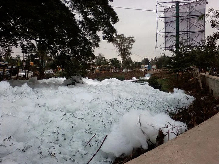 Another Rain, And Varthur Lake in Bengaluru is Frothing Again