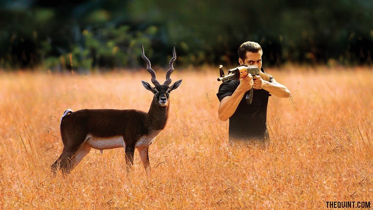 Salman Khan Verdict: Salman Khan Found Guilty in Blackbuck Poaching ...