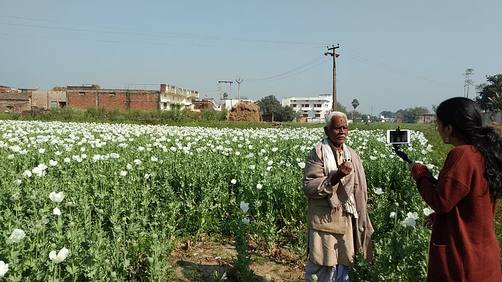 In UP’s Ghazipur, There’s No Sea, Just a Pond of Poppies