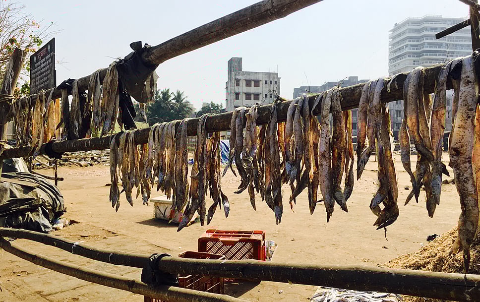 In Photos: An Old-School Indoor Fish Market Run By Women in Mumbai