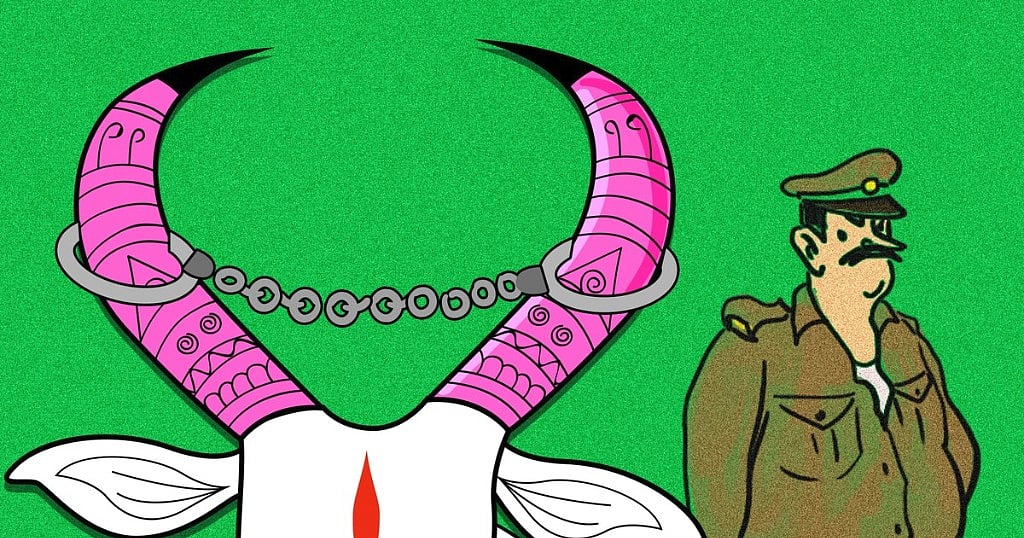 Top Stories From Ahmedabad: 310 people repeatedly involved in cow ...