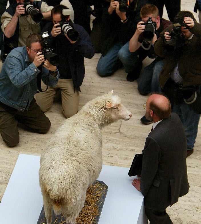 Dolly the Sheep: The Mammal that Made Sci-Fi a Reality in 1996