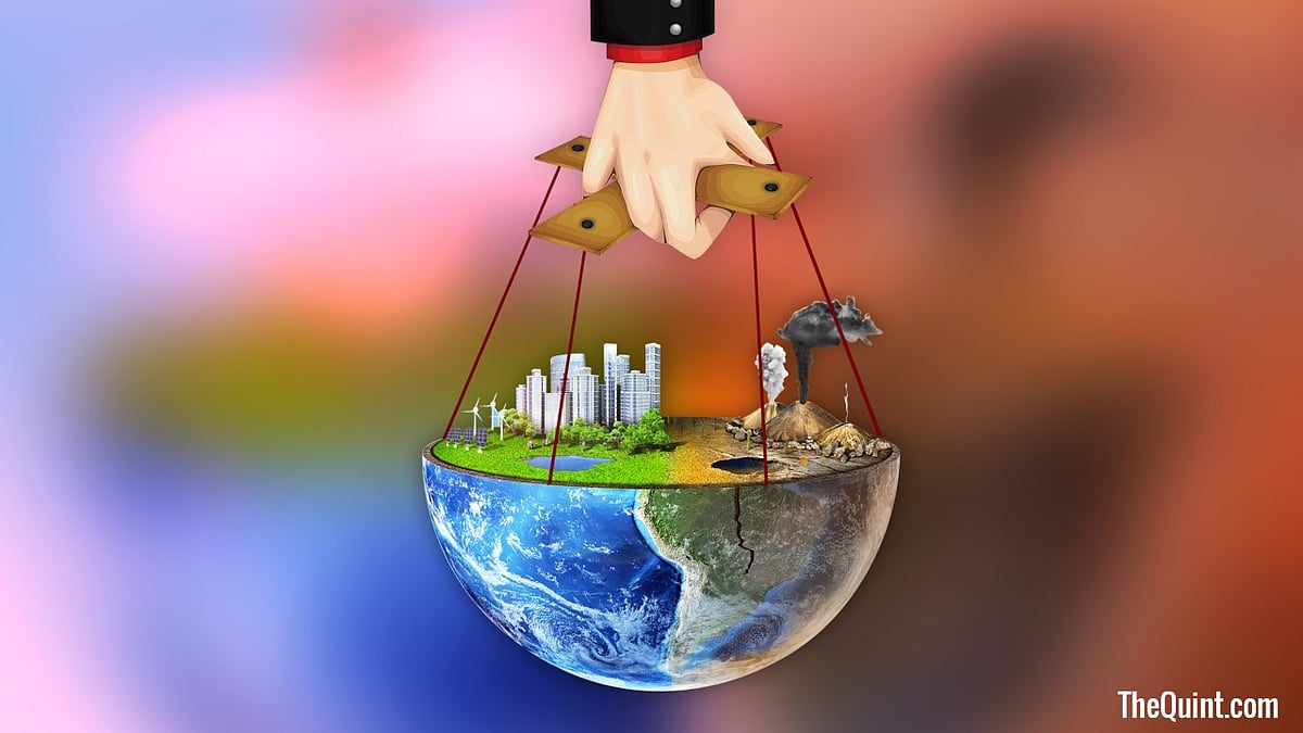 Wwf india?quint bot=true : Exclusive News Stories, Top Articles Written ...