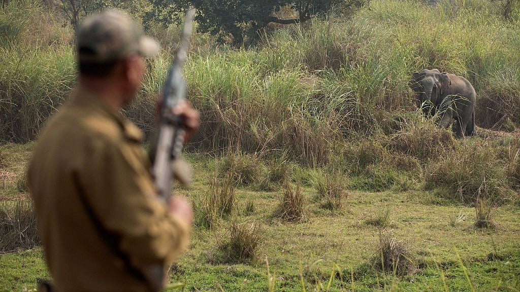 Human-Wildlife Conflict in India: 1 Human Killed Every Day