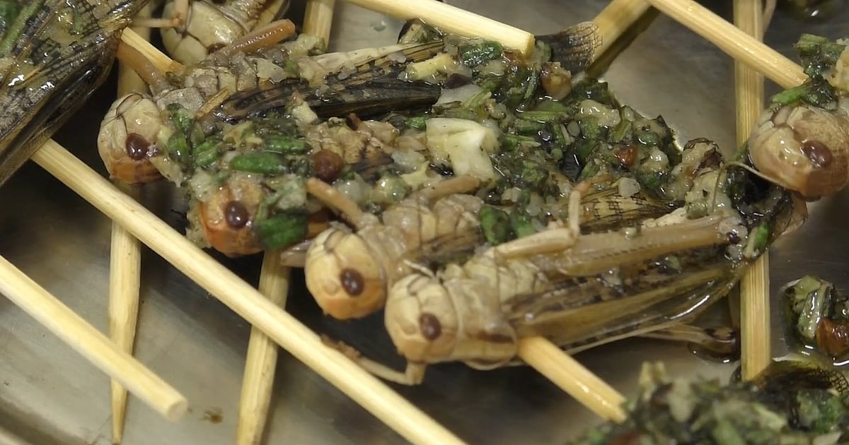 Watch: This Restaurant Serves Insects on a Platter