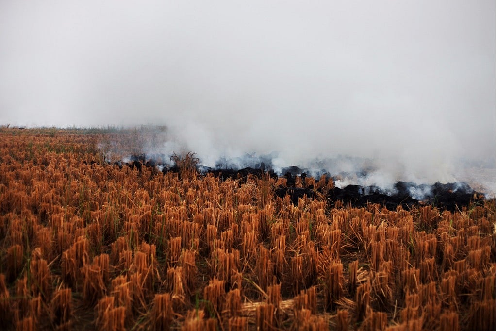 We Know Burning Stubble Pollutes, Govt Won’t Help: Punjab Farmers