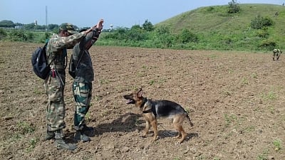 Thirteen new sniffer dogs join forces to curb wildlife crime