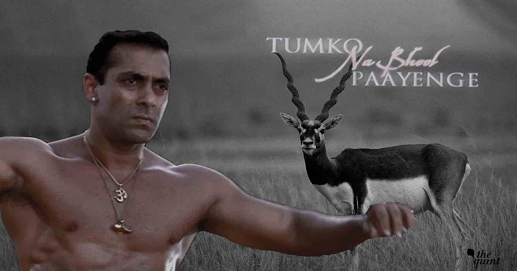 Salman Khan is guilty in the Blackbuck case: explained in his movies’ mems.