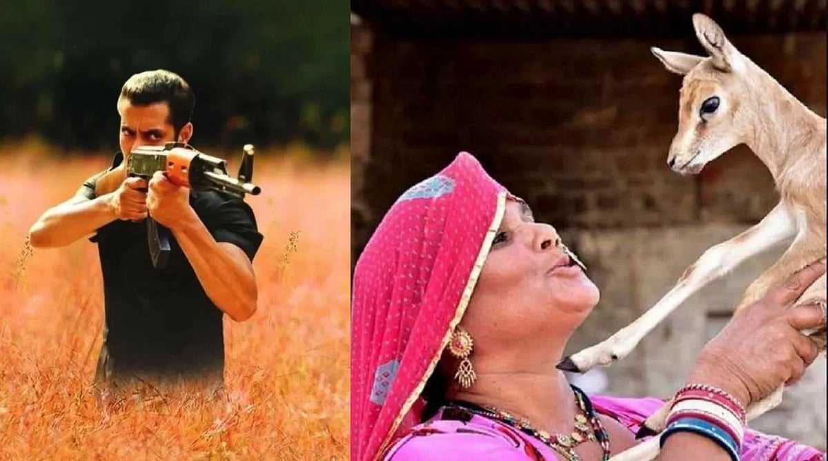 Bishnois News: Latest Bishnois News, Top Stories, Articles, Photos ...