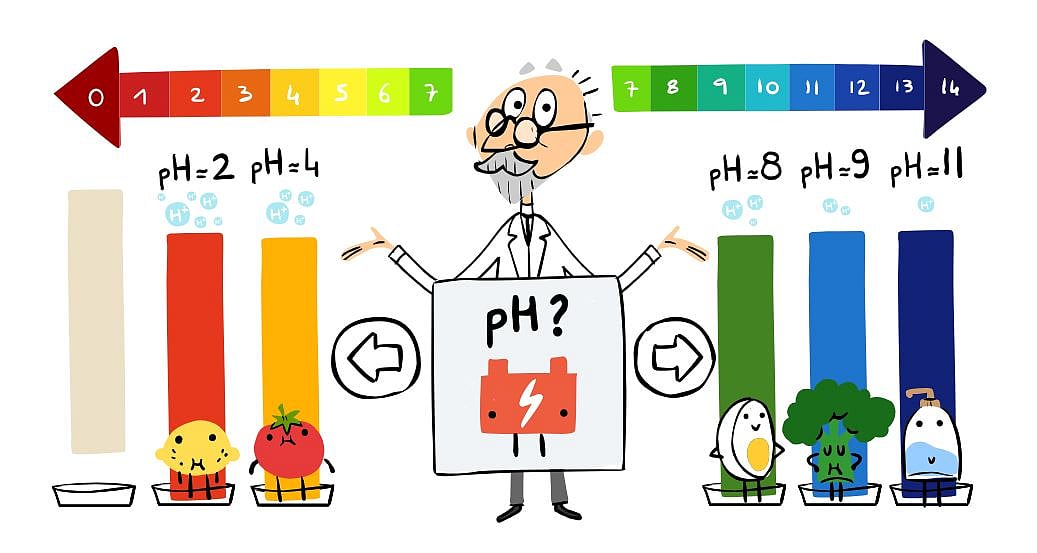 SPL Sorensen’s pH Scale Google Doodle Tells You About Acidity of Food Items