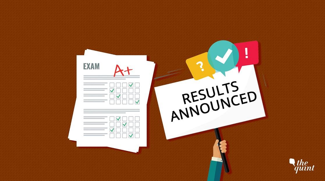 DHSE Kerala Board Released Class 12 Results 2020, How to Check – Weaver ...