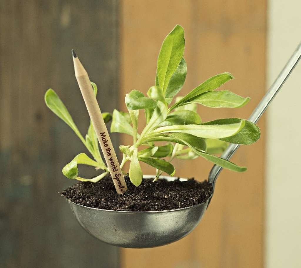 Innovative startups: From Space Catapult To Sprout Pencils, These ...