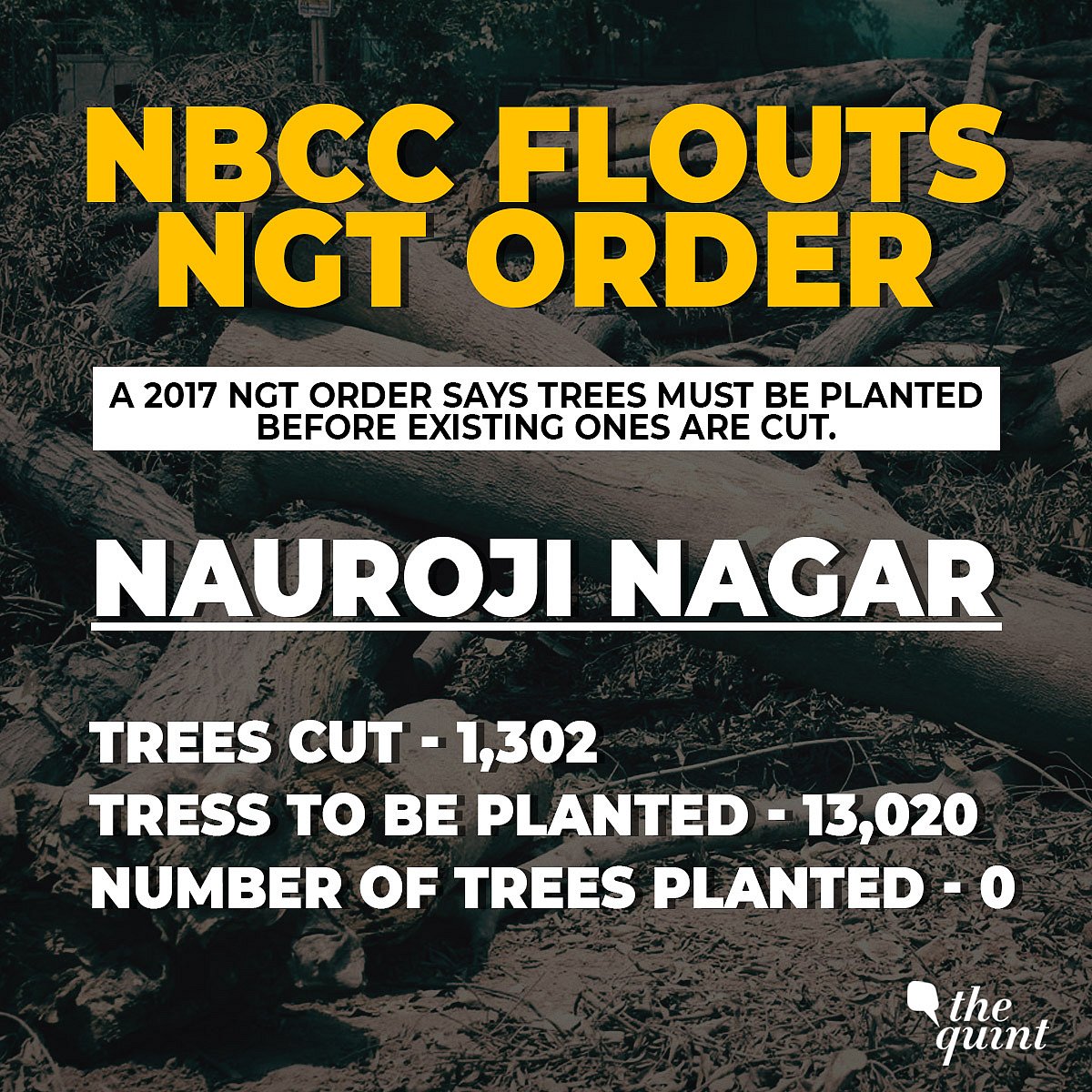 Cut Trees, Plant Saplings? Compensatory Afforestation Isn’t Easy!